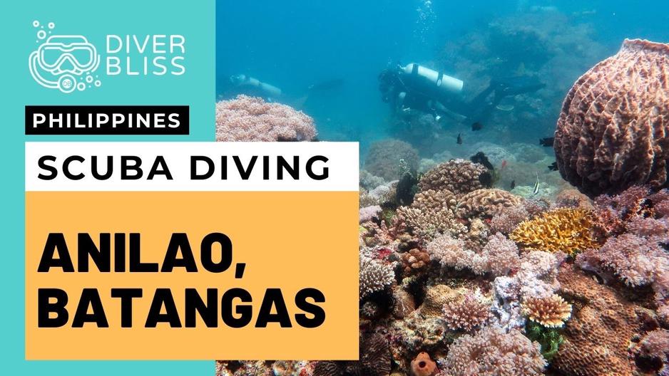 Diving Anilao, Batangas, Philippines- PADI Women's Dive Weekend 2021