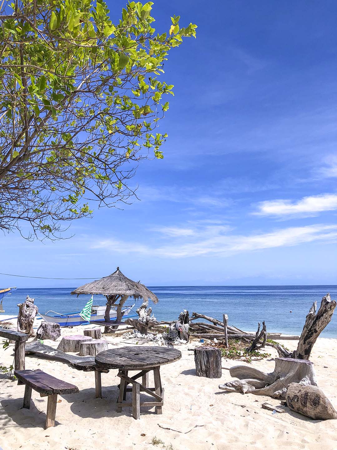 A guide to Diving Apo Reef, Philippines (Updated February 2020)