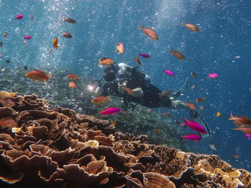 Traveling And Scuba Diving In The Philippines For First-Time?