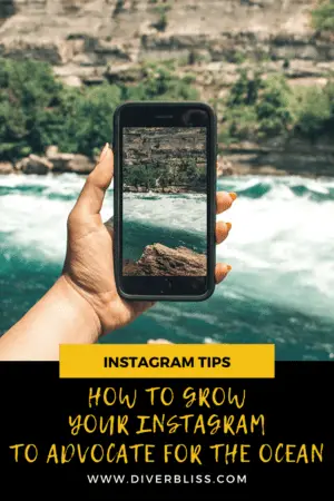 How To Grow Your Instagram To Advocate For The Ocean
