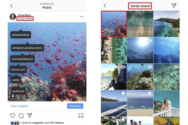 How To Grow Your Instagram To Advocate For The Ocean