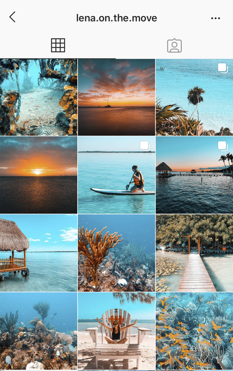 How To Grow Your Instagram To Advocate For The Ocean