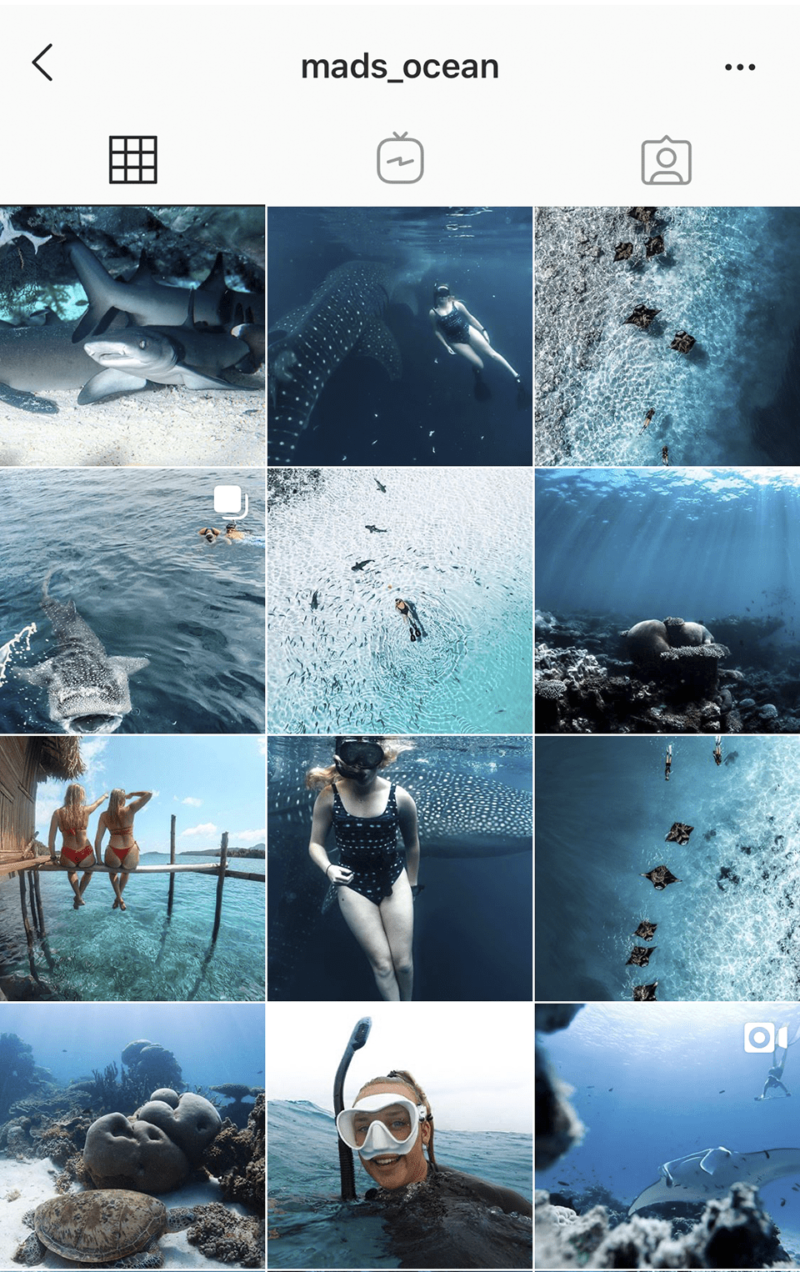 How To Grow Your Instagram To Advocate For The Ocean