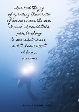 100 Best Scuba Diving Quotes For Your Underwater Adventures