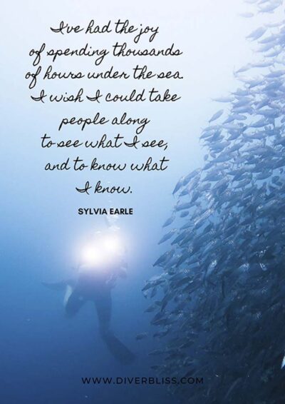 100 Best Scuba Diving Quotes For Your Underwater Adventures