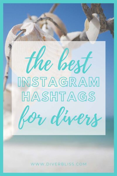 500 Best Ocean Scuba Diving Hashtags For Instagram