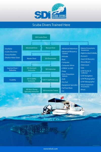 Scuba Diving Certifications FAQs: 25 Top Questions Asked By New Divers