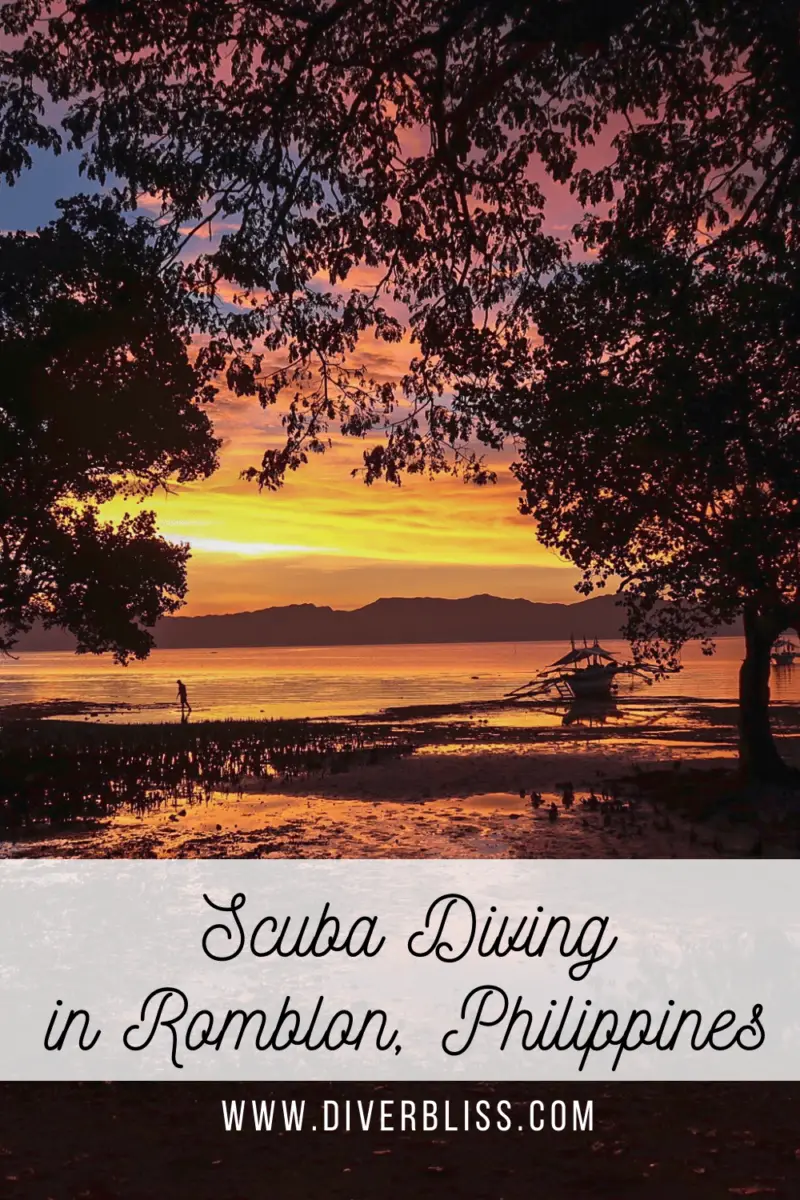Scuba Diving Romblon: Underwater Macro Paradise In The Philippines ...