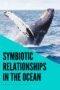 6 Fascinating Mutualism Examples In The Ocean That Are #RelationshipGoals