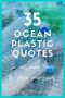 35 Most Thought-provoking Plastic Pollution Quotes Of All Time