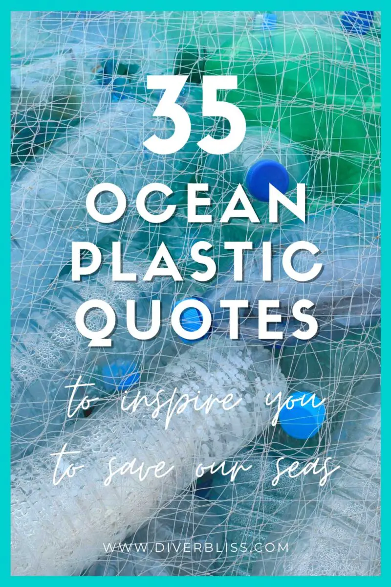 35 Most Thought-provoking Plastic Pollution Quotes Of All Time