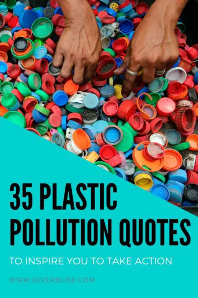 35 Most Thought-provoking Plastic Pollution Quotes Of All Time