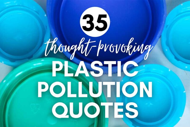 35 Most Thought-provoking Plastic Pollution Quotes Of All Time