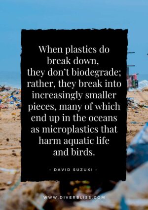 35 Most Thought-provoking Plastic Pollution Quotes Of All Time