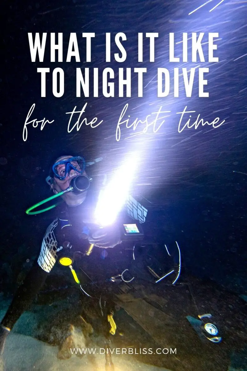 Scuba Dive In The Dark: What Is Night Diving Like?