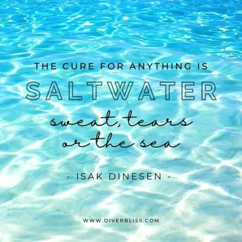 200+ Sea And Ocean Captions For Instagram