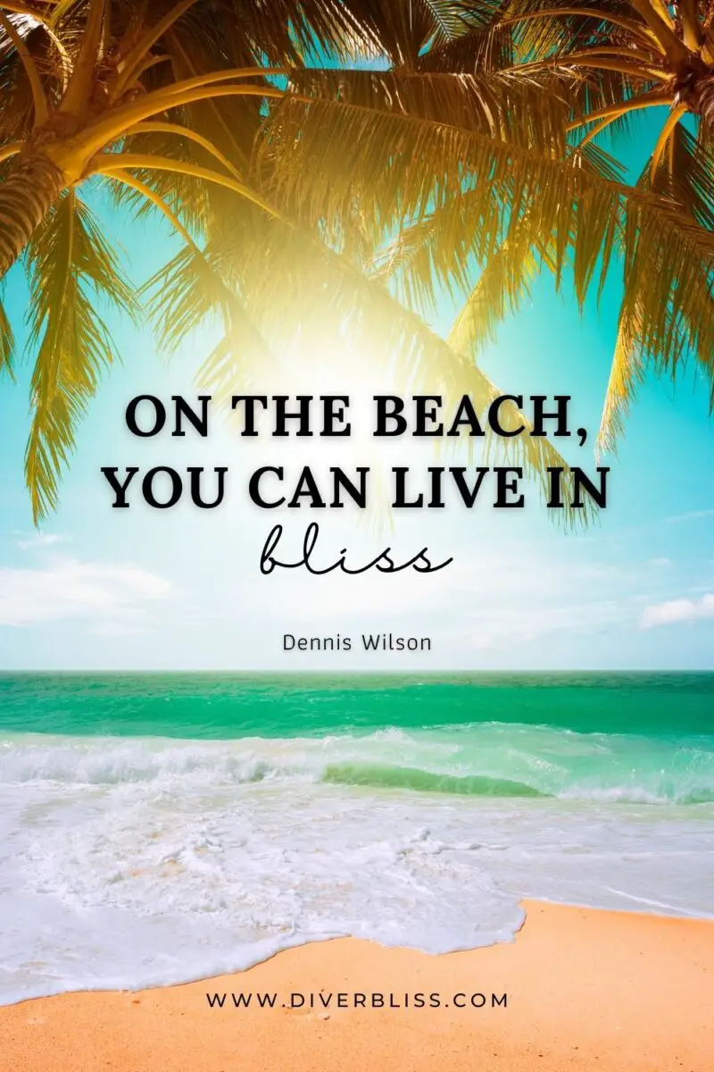 70+ Inspirational Beach Quotes And Instagram Captions
