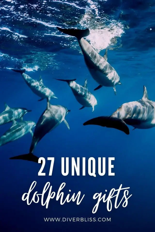 28 Unique Dolphin Gifts You'll Dolphin-ately Want