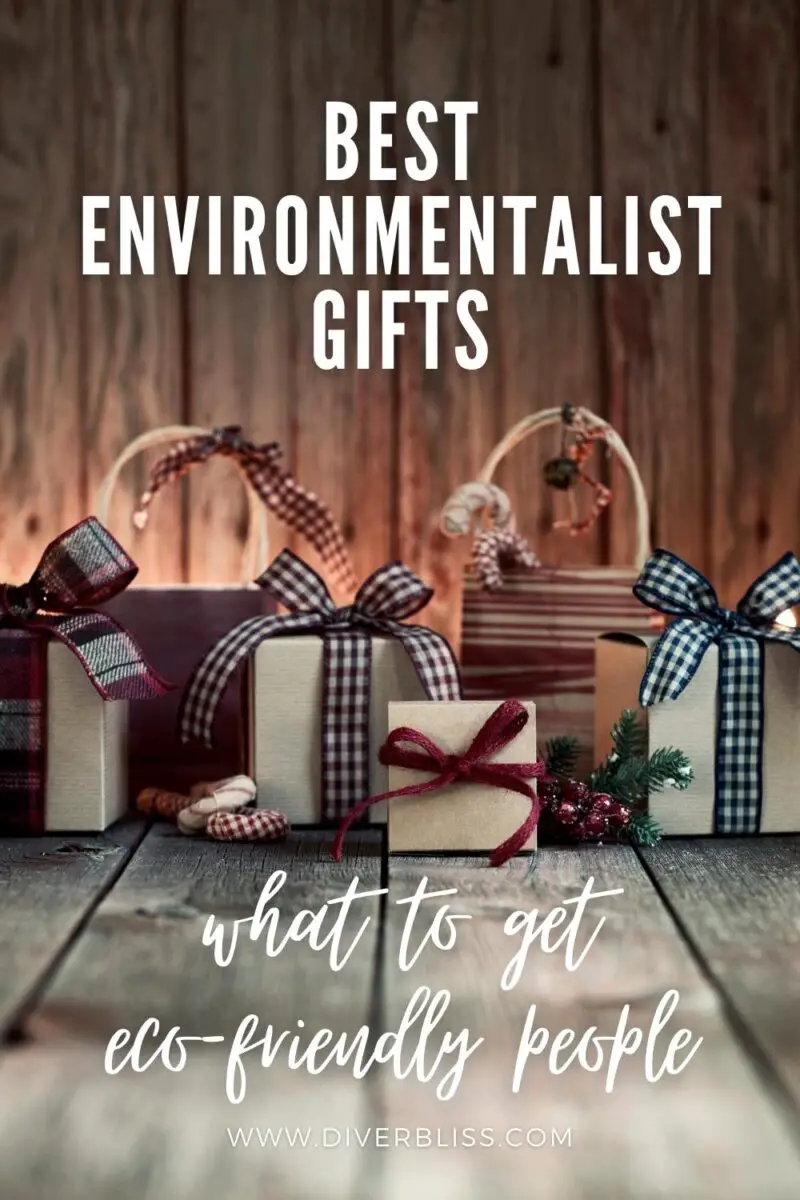 27 Best Environmentalist Gifts: What To Get An Eco-friendly Person