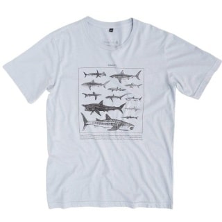 33 Best Shark Gifts That Are Totally Jaw-some!