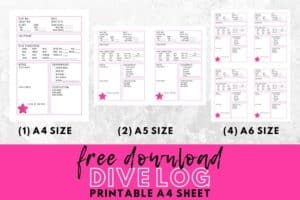 Printable Dive Log Template For Scuba Diving: Download For FREE!