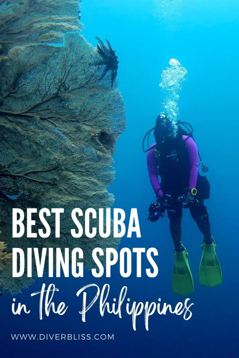 12 Best Scuba Diving Spots In The PHilippines: Where To Dive In 2025