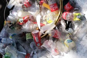 How To Do A Beach Cleanup That Makes An Impact! (7 Easy Steps)