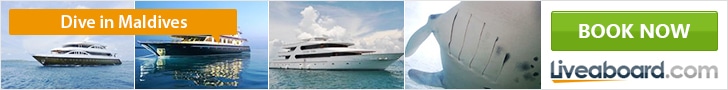 Ultimate Liveaboard Packing List: What To Bring On A Liveaboard Dive Trip