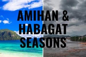 Amihan And Habagat: Diving Seasons In The Philippines Explained