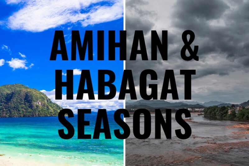 Amihan And Habagat: Diving Seasons In The Philippines Explained
