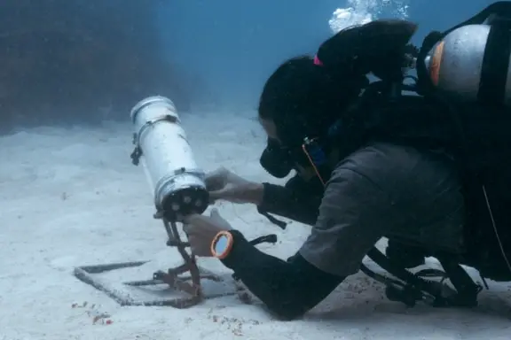 11 Marine Conservation Organizations In The Philippines You Can Support ...