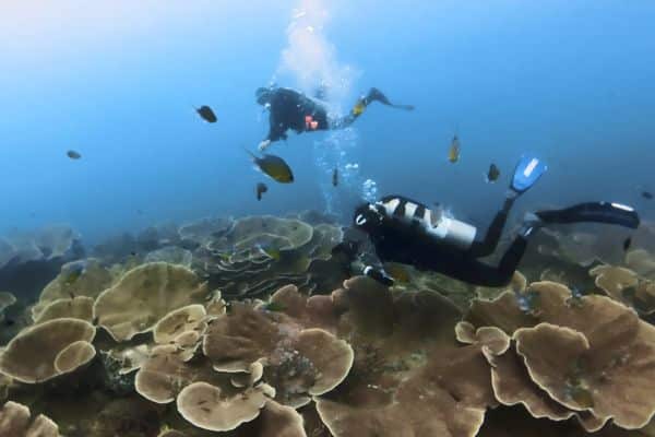 Insta360 X3 Underwater Camera: Scuba Diving Review