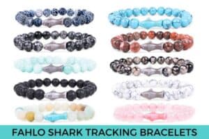 The Coolest Shark Tracking Bracelet: 5 Reasons To Love It