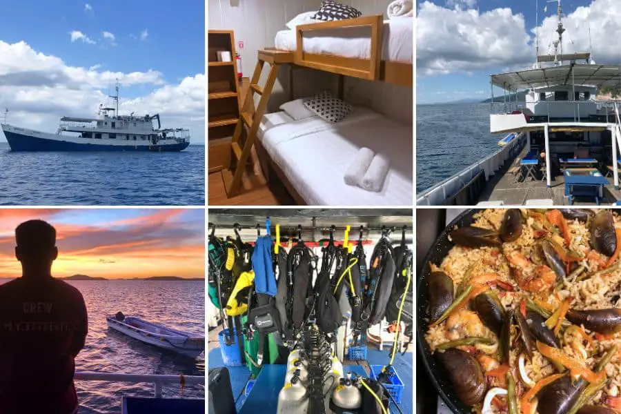 Visayas Liveaboard Trip With MV Resolute (August 2024) | Diver Bliss