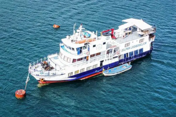 Tubbataha Reefs Liveaboard With M/y Dolphin (May 2025) | Diver Bliss